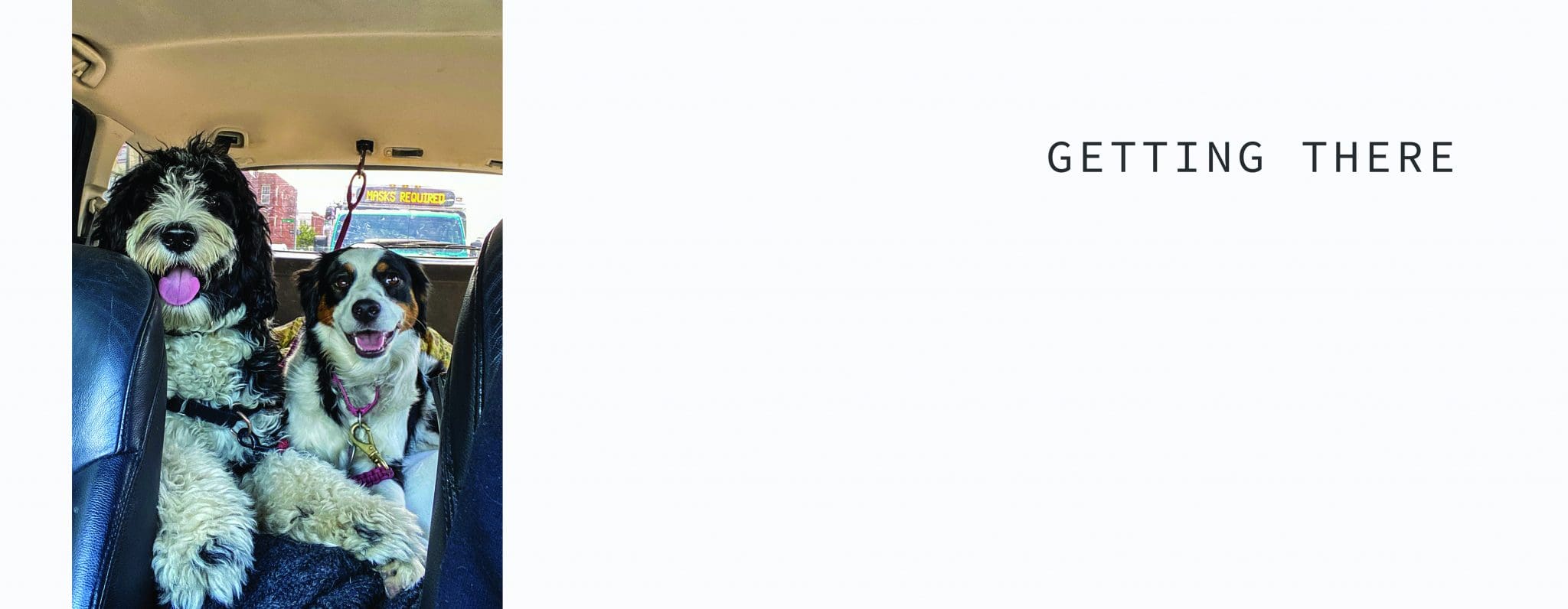 dogscapes – dogscapes