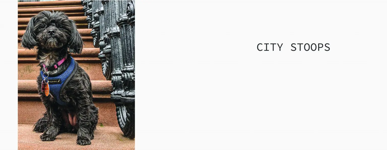 dogscapes – dogscapes