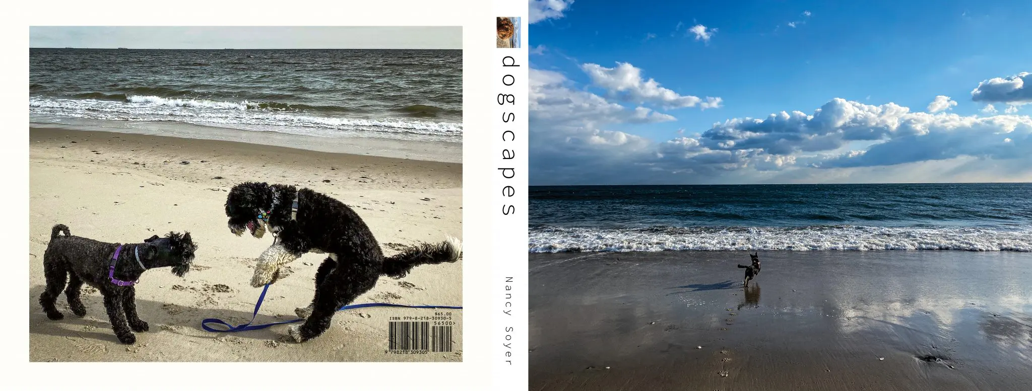 dogscapes – dogscapes